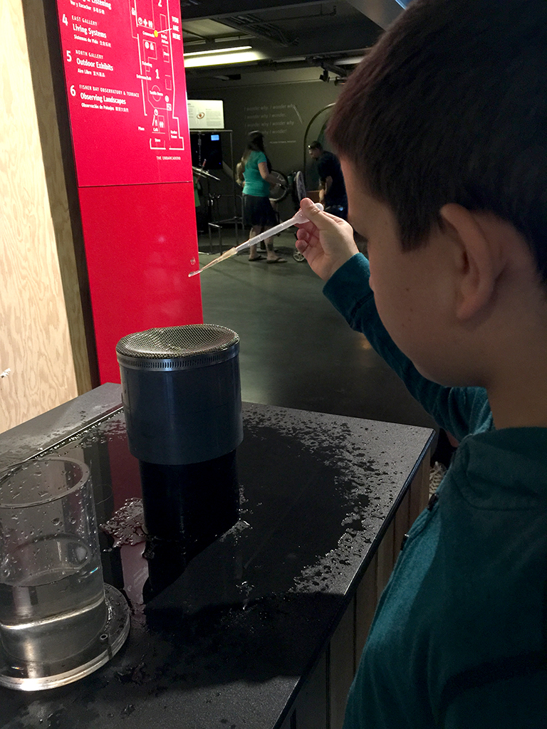 San Francisco Exploratorium: Best Science Exhibits in the Bay Area