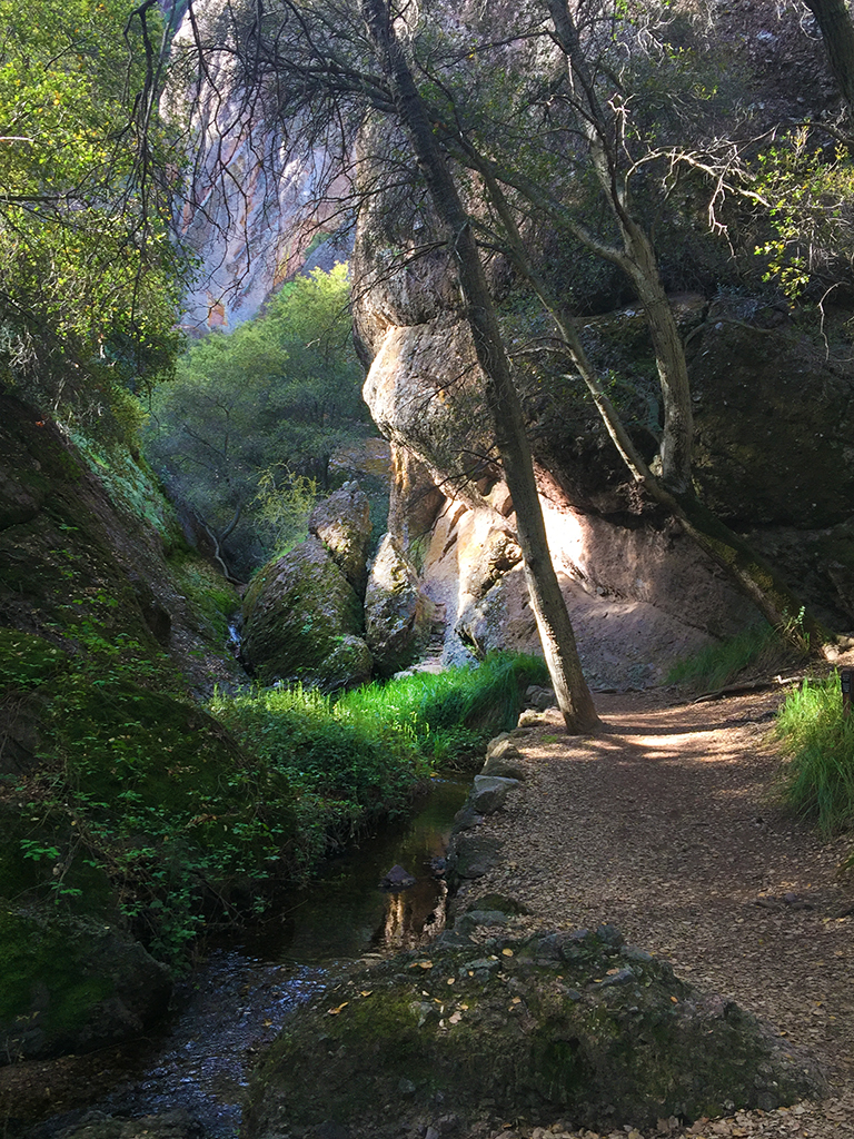 Old Pinnacles Trail To Balconies Cave At Pinnacles National Park
