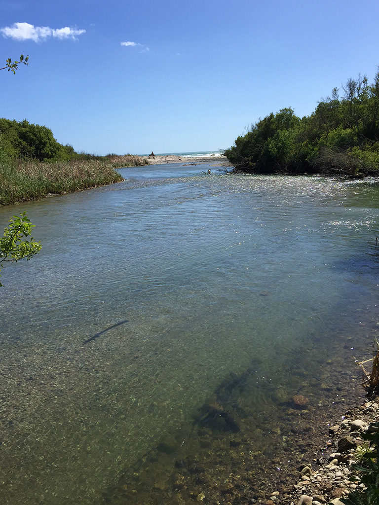 Hiking Trails At Andrew Molera State Park In Big Sur