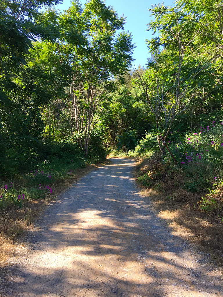 Hiking The Quarry Trail to Historic Hawver Cave Near Auburn, CA