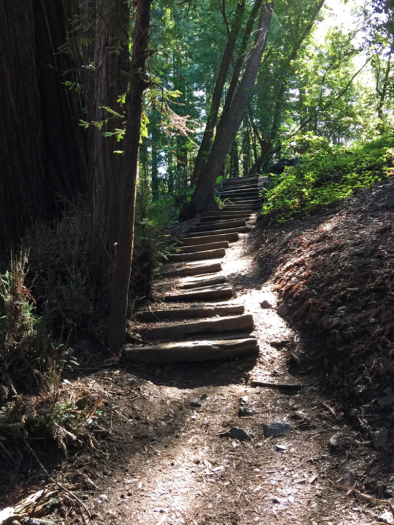 Hike Pfeiffer Falls Trail And Valley View Trail In Pfeiffer Big Sur ...