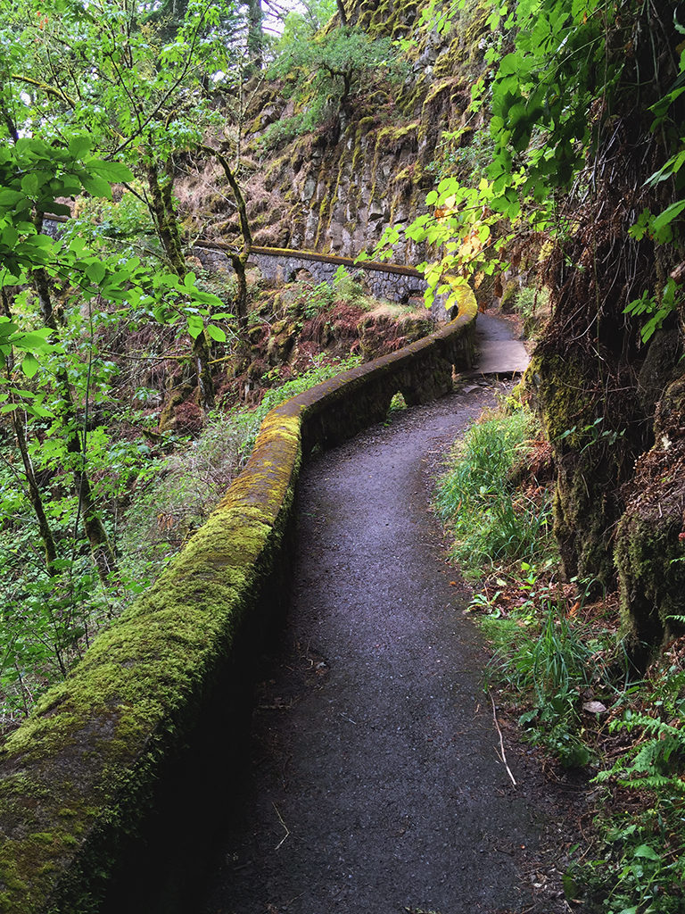 Waterfall Hike In The Shepperd's Dell State Natural Area, Oregon
