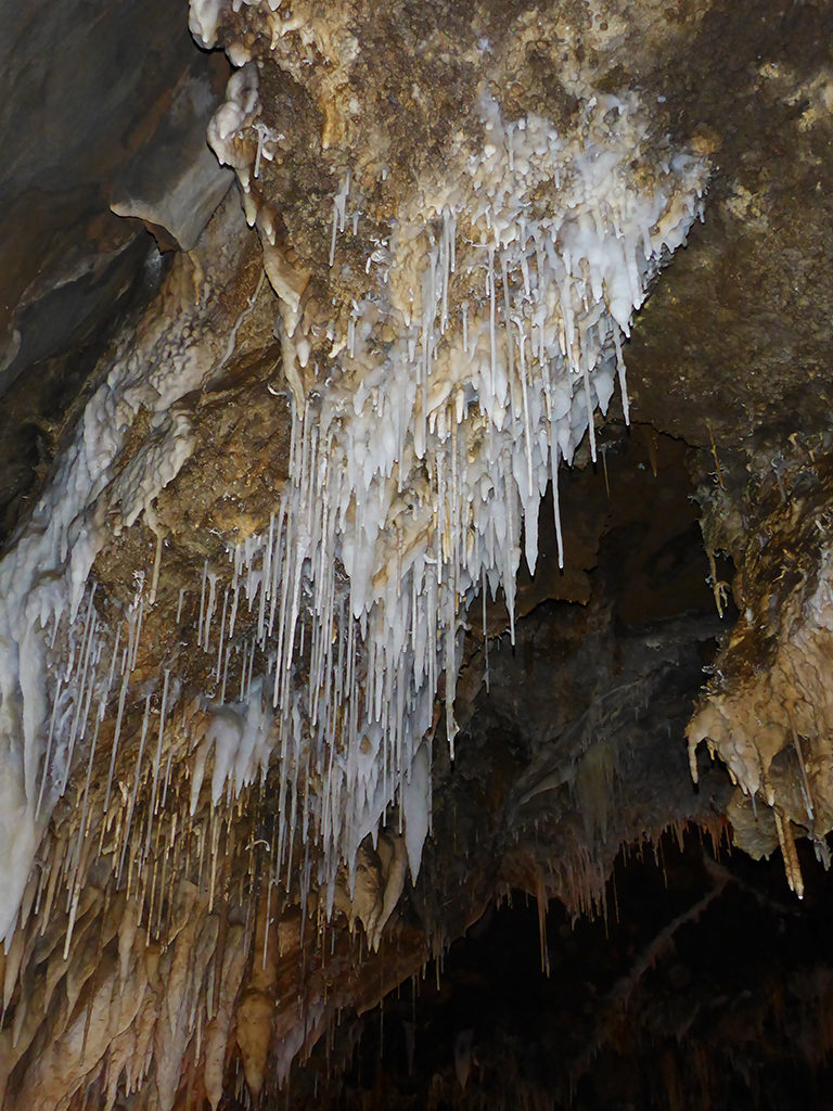 California Cavern at Cave City, A State Historic Landmark