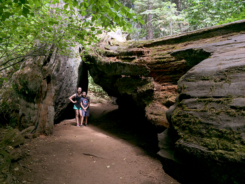 Planning A Family Day Trip To Calaveras Big Trees State Park