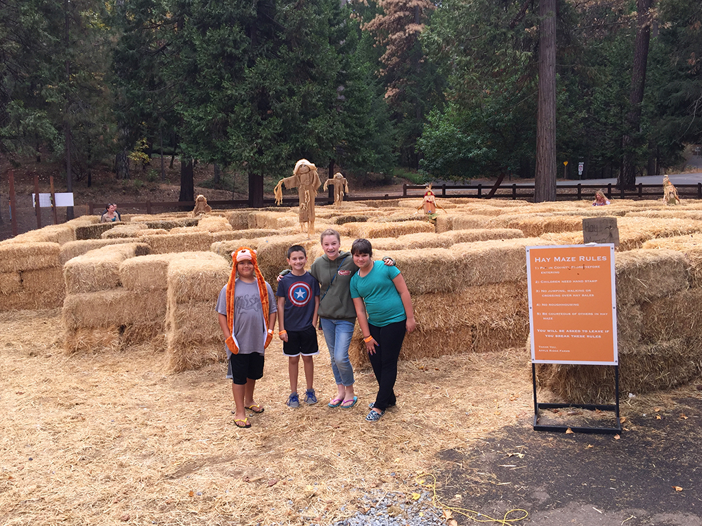 Apple Ridge Farms At Apple Hill In El Dorado County, California