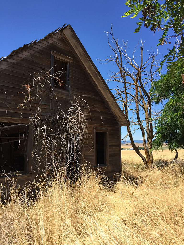 Cascade Volcano Viewpoint on US97 in Kickitat Valley, Washington