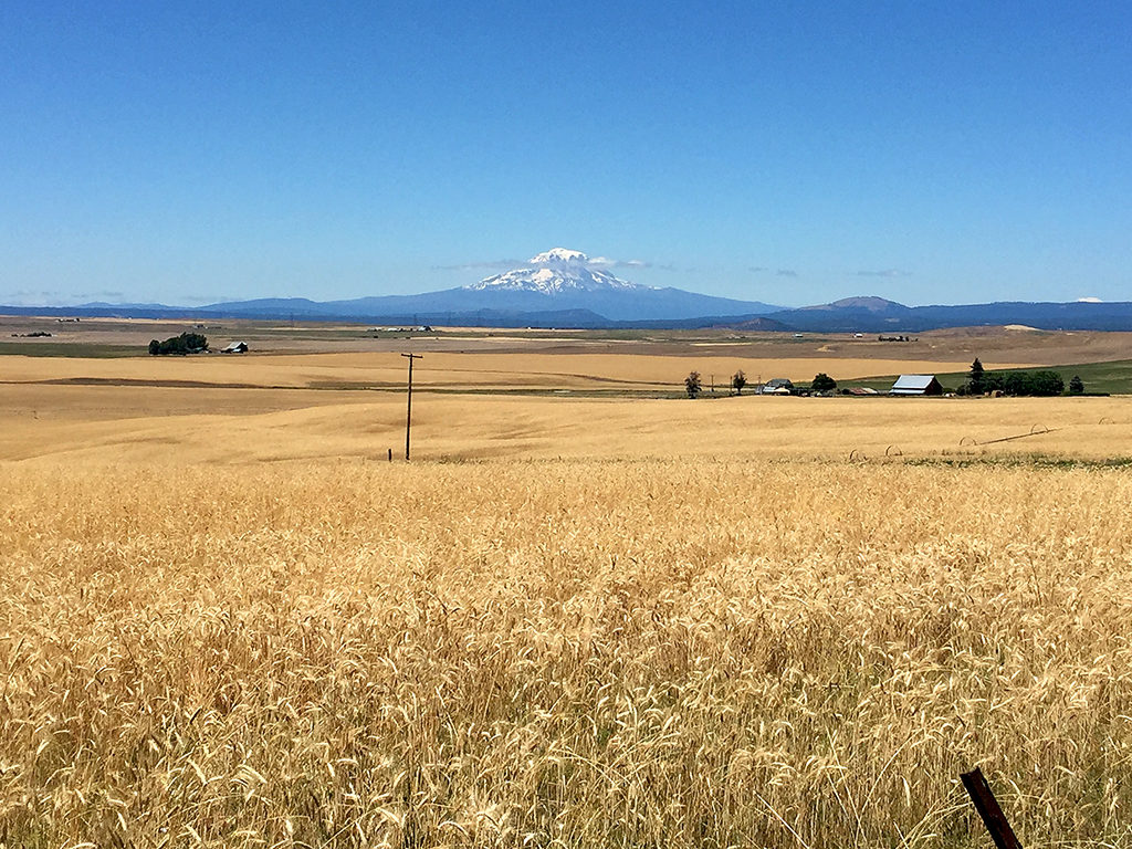 Cascade Volcano Viewpoint on US97 in Kickitat Valley, Washington