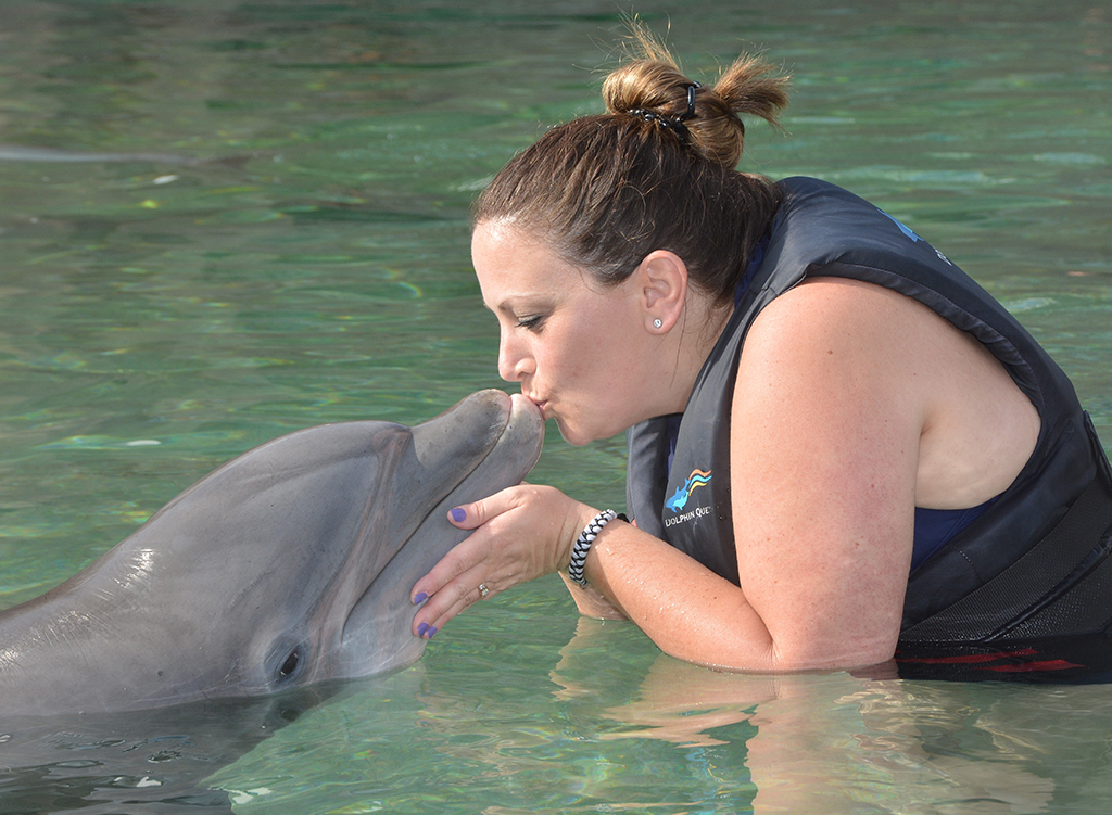 Dolphin Quest: Swimming With Dolphins On The Big Island Of Hawai'i
