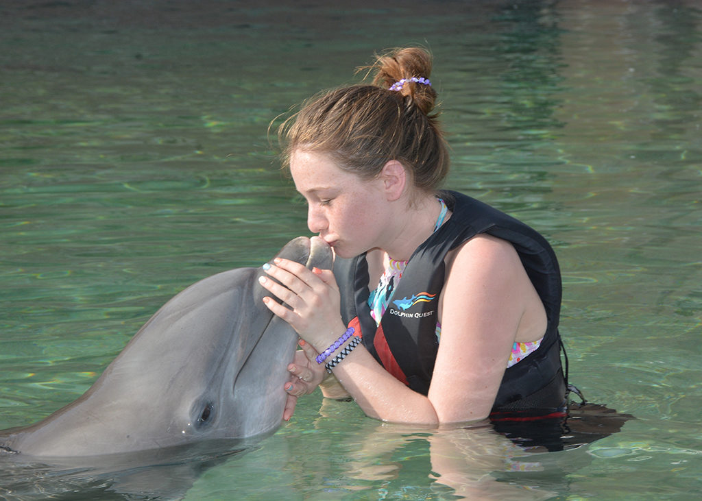 Dolphin Quest: Swimming With Dolphins On The Big Island Of Hawai'i