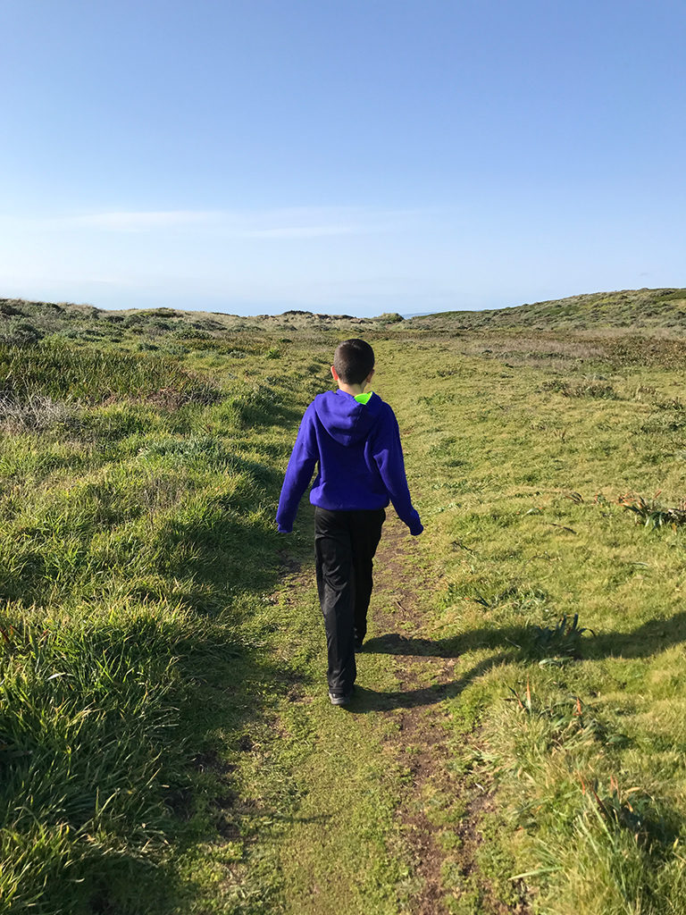 Manchester State Beach Park In Mendocino County, California
