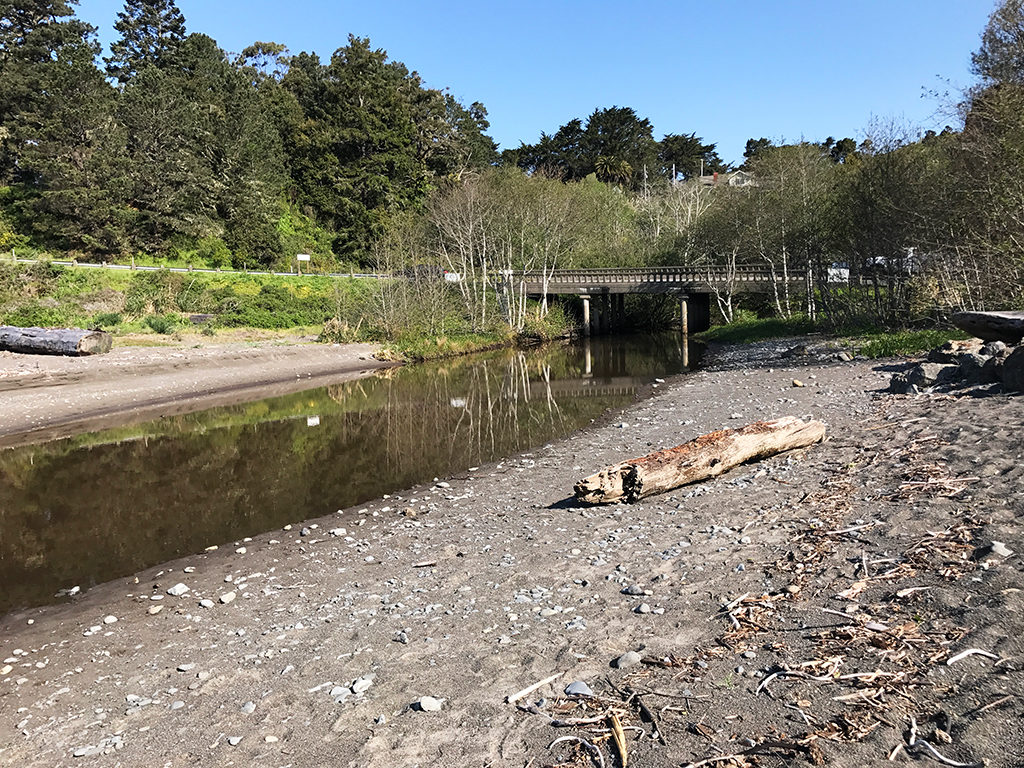Van Damme State Park Beach And Pygmy Forest In Mendocino, California