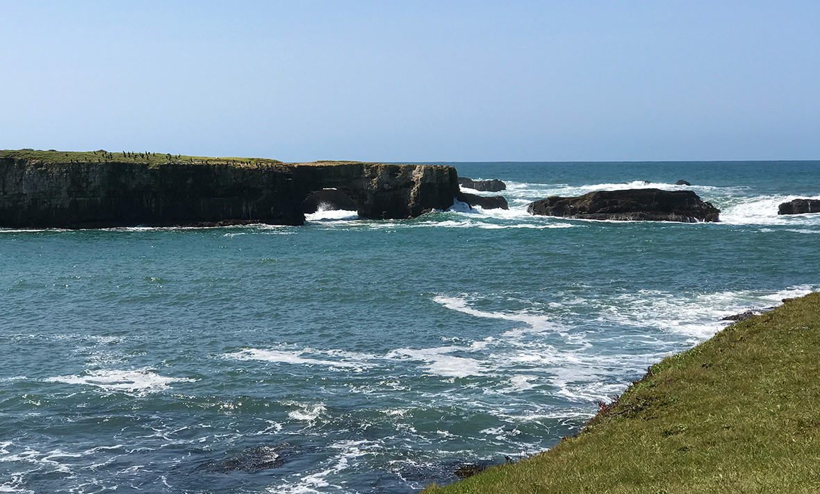 Point Arena Lighthouse and Point Arena-Stornetta Public Lands