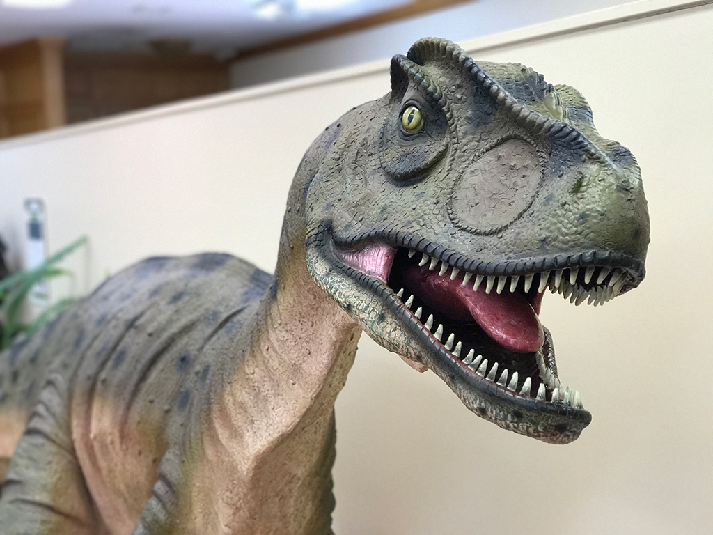 Dinosaur Ridge in the Morrison Fossil Area National Natural Landmark