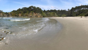22 Family-Friendly Things To Do Along Northern California's Mendocino Coast