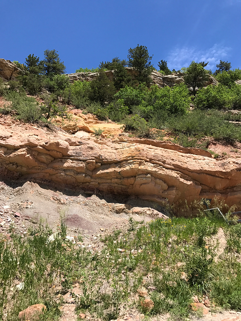 Dinosaur Ridge in the Morrison Fossil Area National Natural Landmark