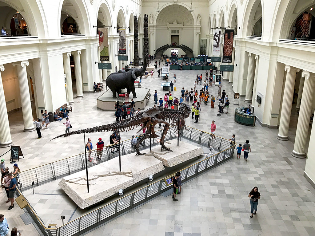 Visit The Field Museum of Natural History in Chicago's Grant Park