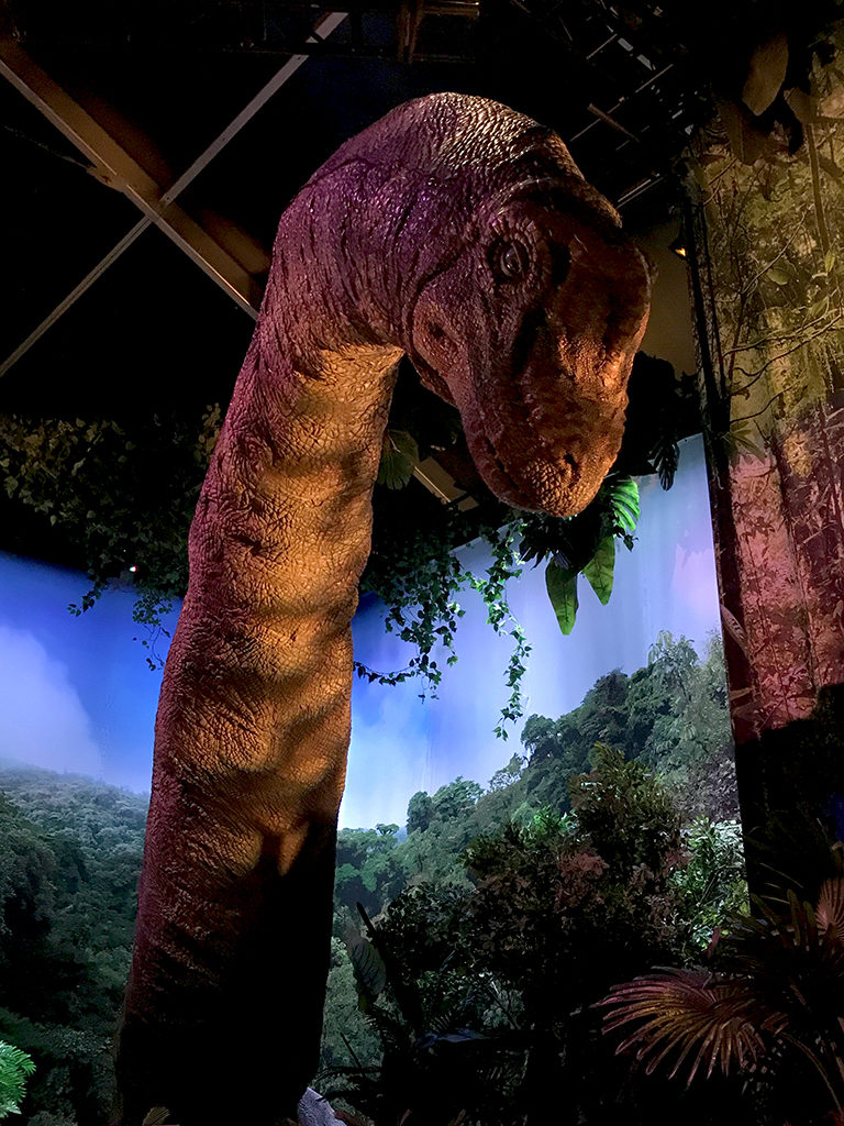 Visit The Field Museum of Natural History in Chicago's Grant Park