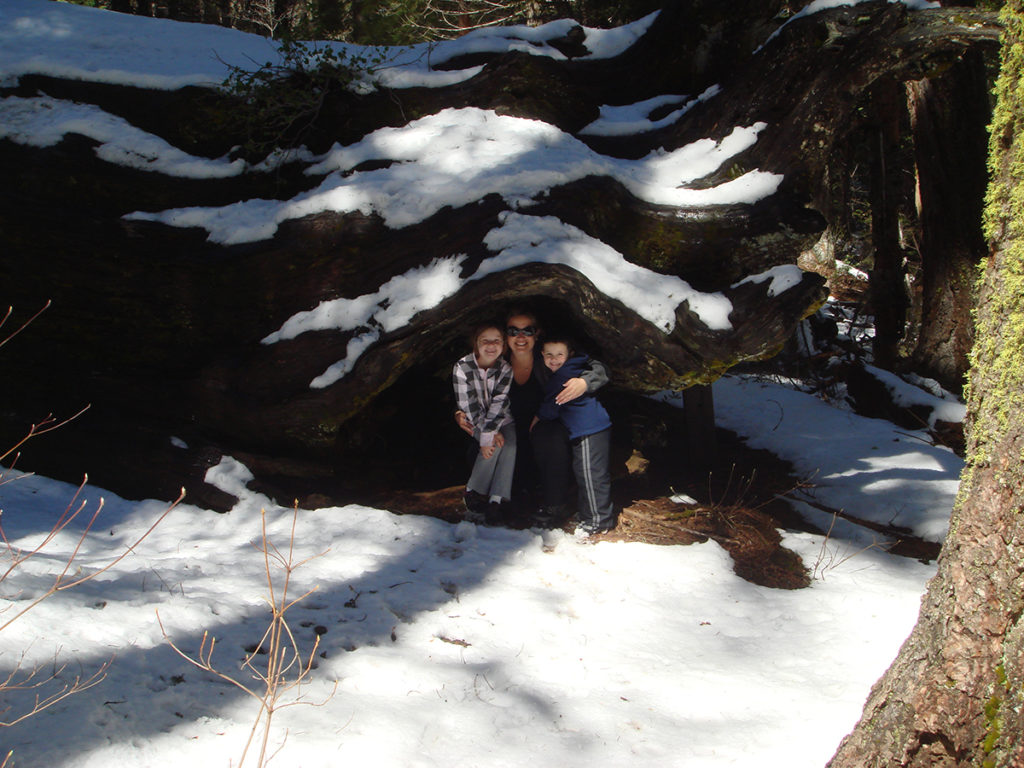 Big Trees Grove: Giant Sequoias In Placer County