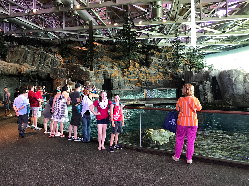 Visit The Shedd Aquarium at Chicago's Museum Campus in Grant Park