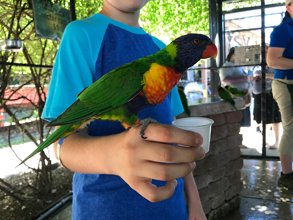 Turtle Bay Exploration Park And Museum in Redding, California