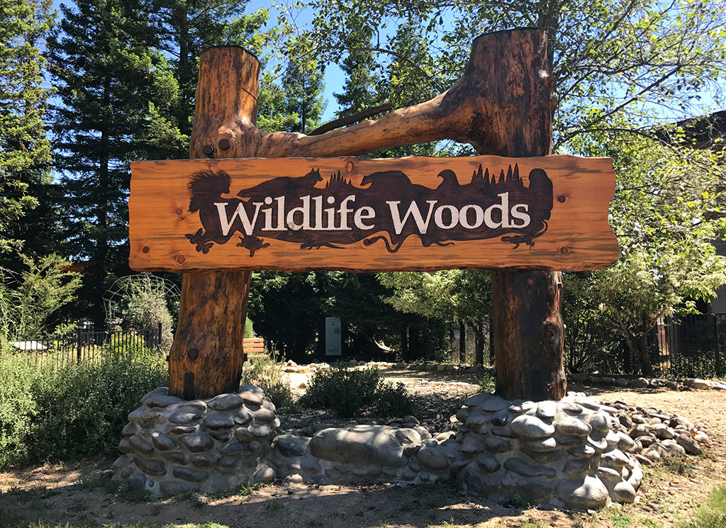 Turtle Bay Exploration Park And Museum in Redding, California