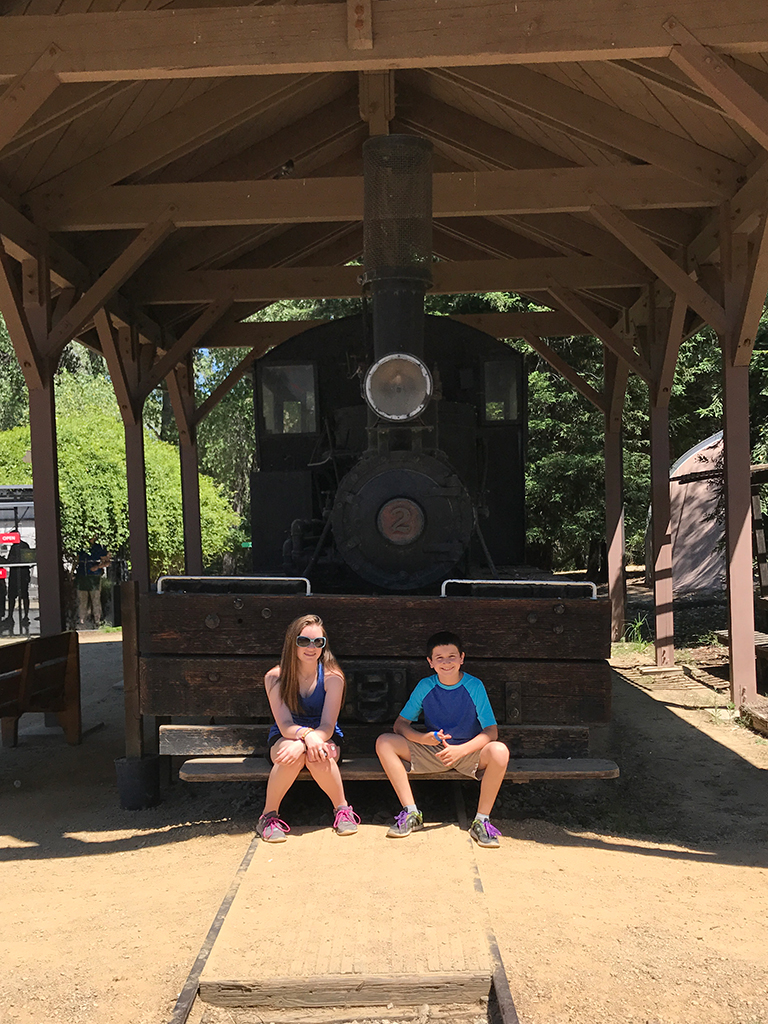 Turtle Bay Exploration Park And Museum in Redding, California