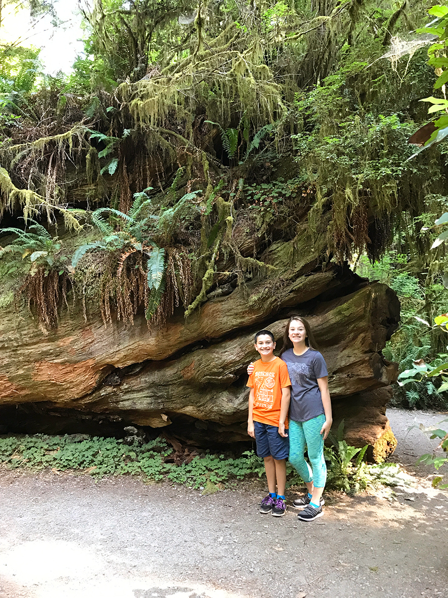 Simpson-Reed Discovery Trail at Jedediah Smith State Park