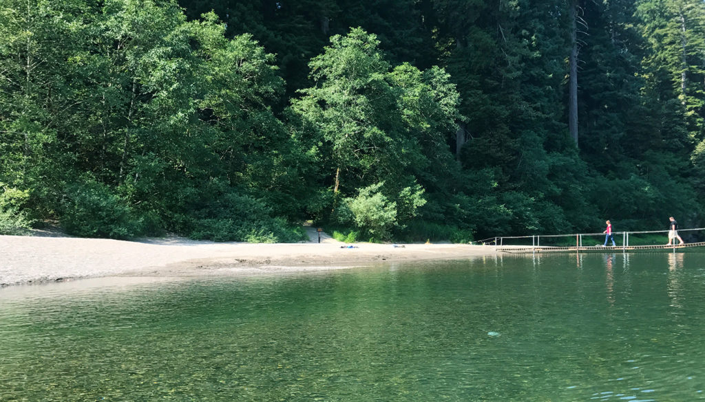 Stout Memorial Grove at Jedediah Smith State Park