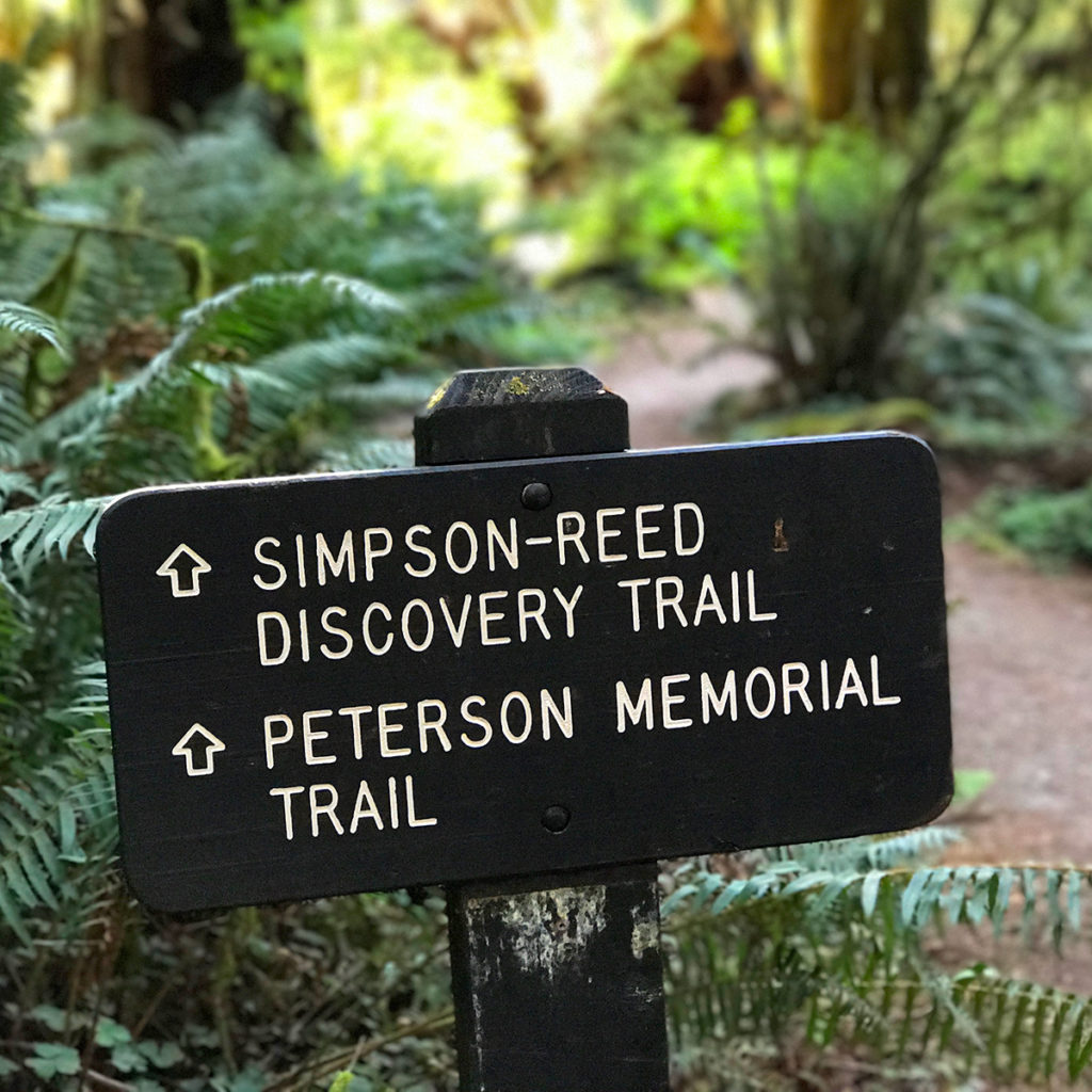 Simpson-Reed Discovery Trail at Jedediah Smith State Park