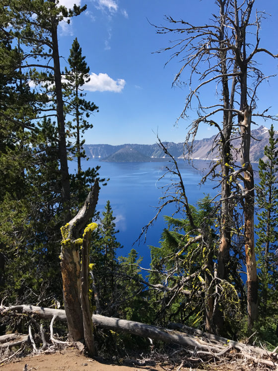 Pumice Point Scenic Overlook at Crater Lake National Park