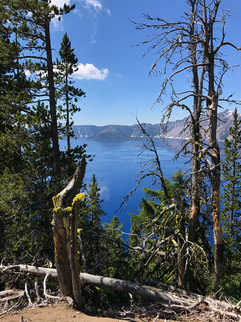 Pumice Point Scenic Overlook at Crater Lake National Park