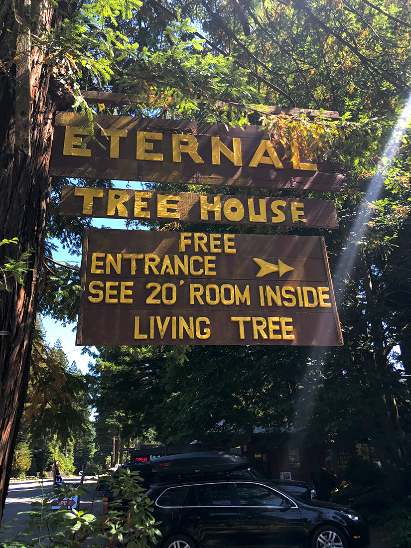 The Eternal Tree House Along Avenue Of The Giants In Redcrest, CA