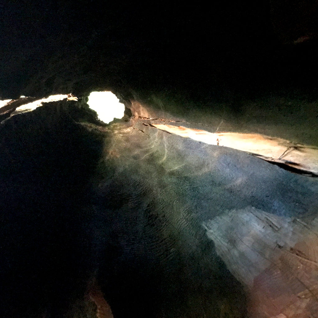 The Living Chimney Tree & Grill Along Avenue Of The Giants