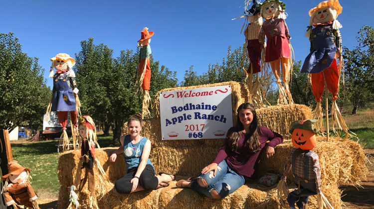 Bodhaine Apple Ranch, An Organic Apple Farm In Apple Hill