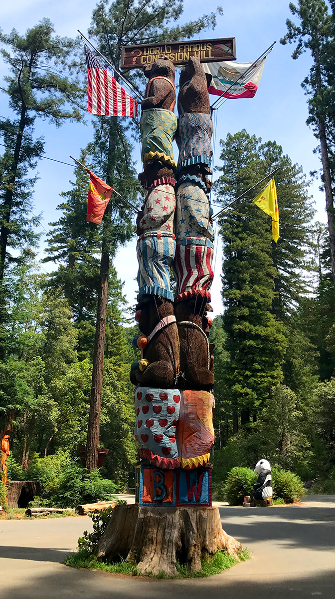 Campbell Brothers Confusion Hill And Gravity House