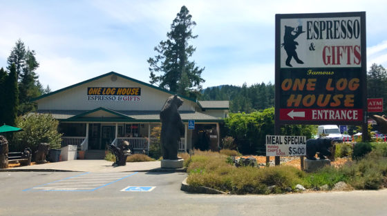 One Log House: The Original Tiny House In Piercy, California