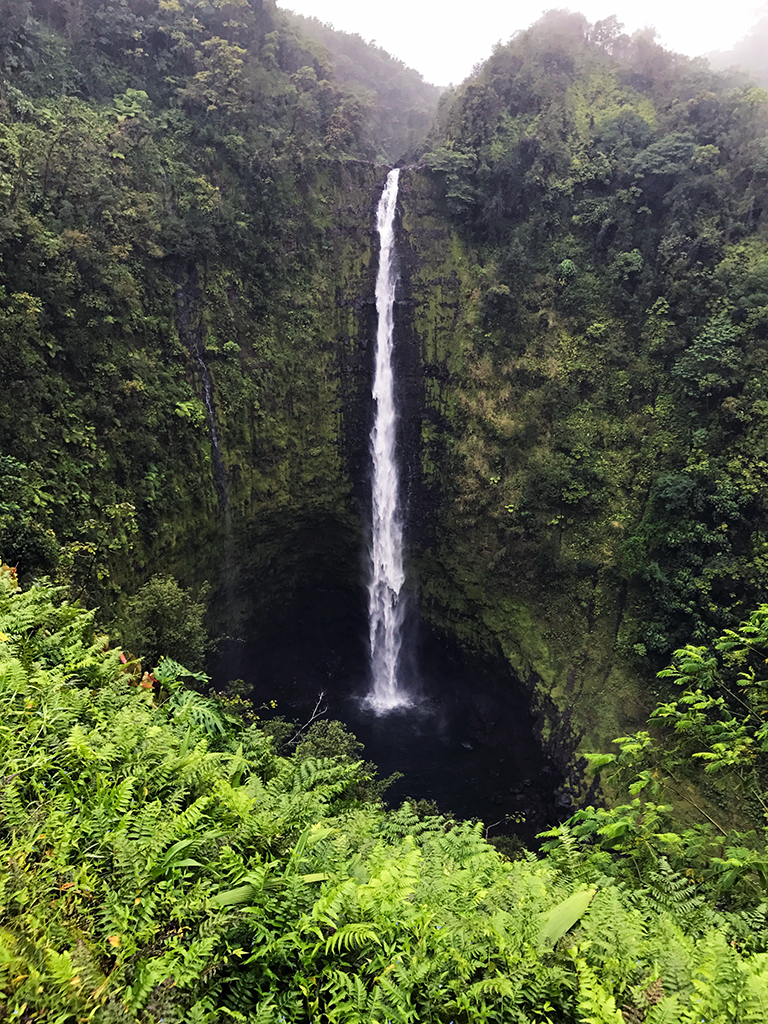 'Akaka Falls State Park On The Big Island Of Hawaii