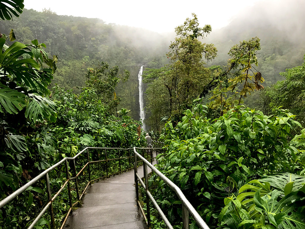 'Akaka Falls State Park On The Big Island Of Hawaii