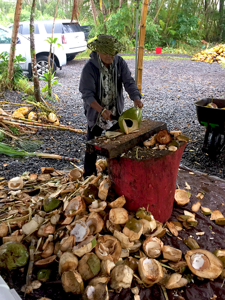 Manas Aloha Farm: Delicious Farm Fresh Coconut And Pineapple