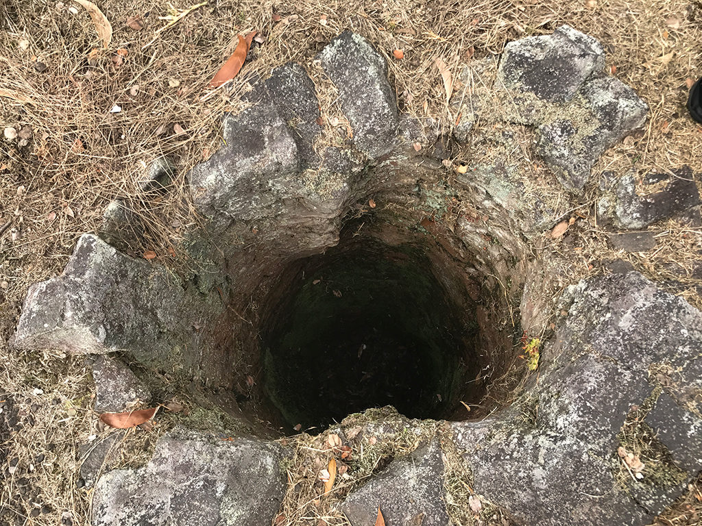 View Rare Lava Tree Molds At Hawai'i Volcanoes National Park