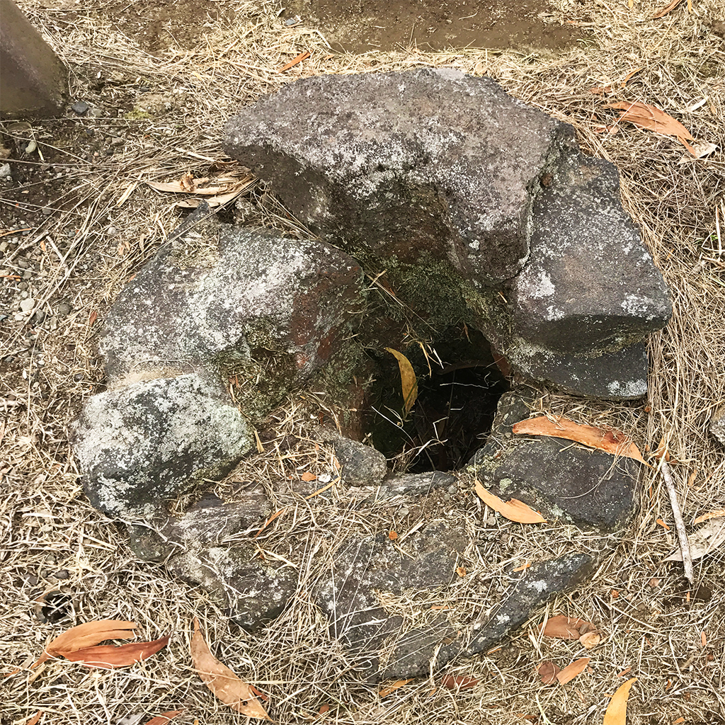 View Rare Lava Tree Molds At Hawai'i Volcanoes National Park