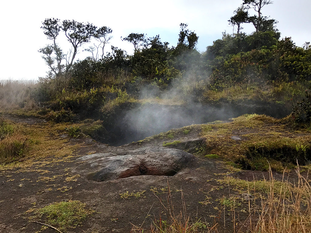 Steaming Bluff And Steam Vents at Hawai'i Volcanoes National Park