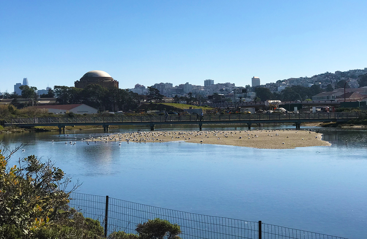 Crissy Field And The Golden Gate Promenade in San Francisco