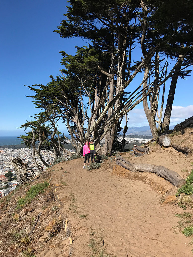Grand View Park And Turtle Hill in San Francisco's Sunset District
