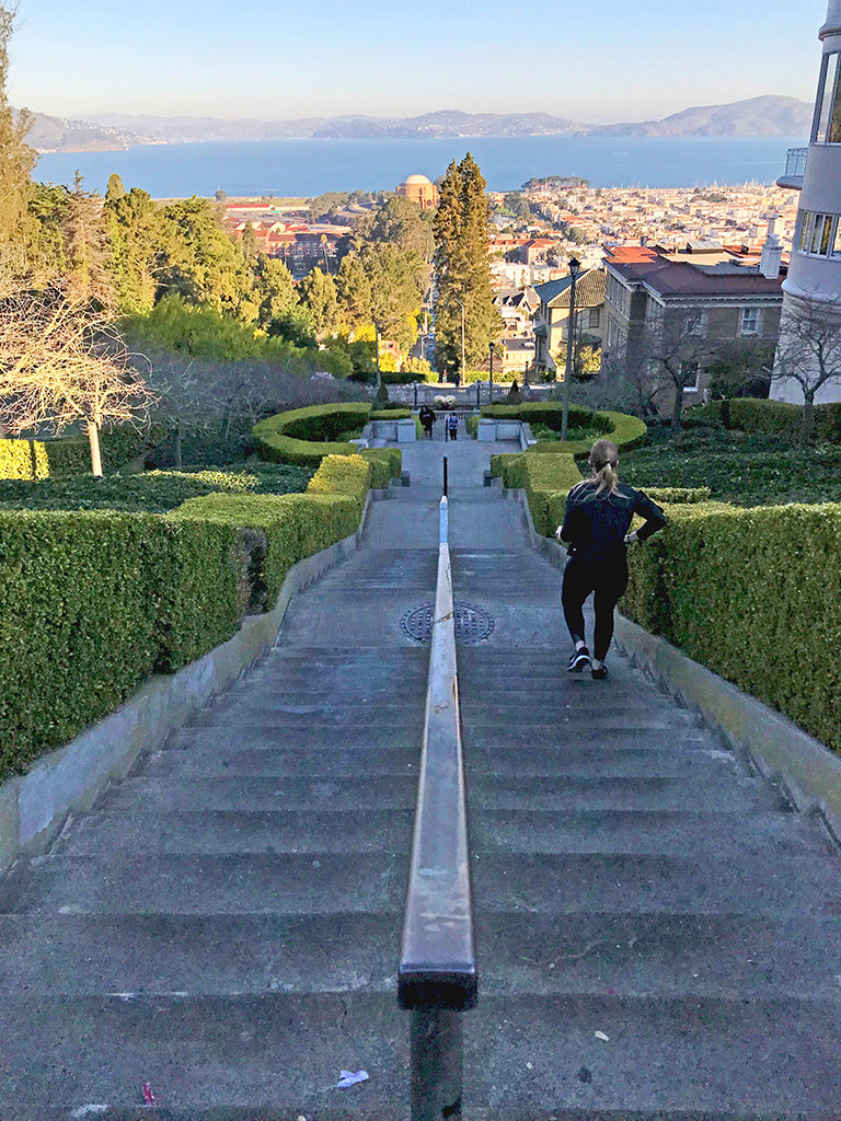 The Lyon Street Steps, A Secret Staircase In San Francisco