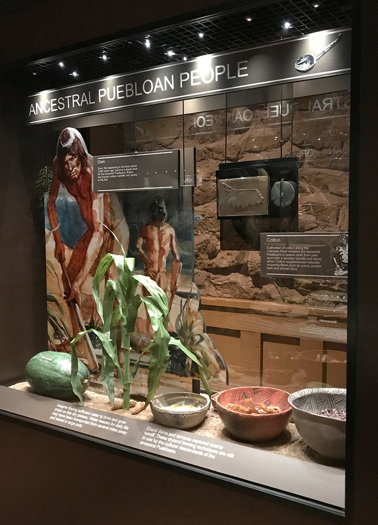 Tusayan Ruin And Tusayan Museum Along The Grand Canyon's South Rim