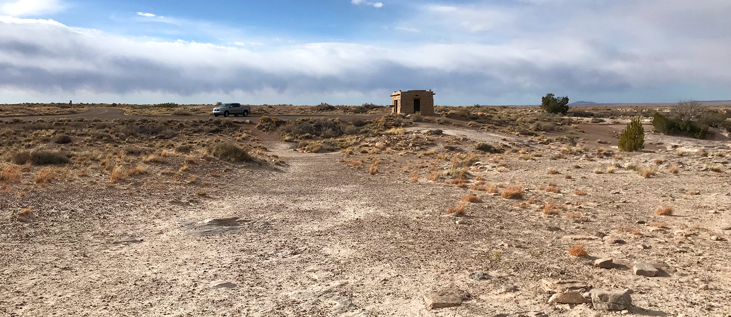 Agate Bridge: A 110 Foot Petrified Log Bridge at Petrified Forest ...