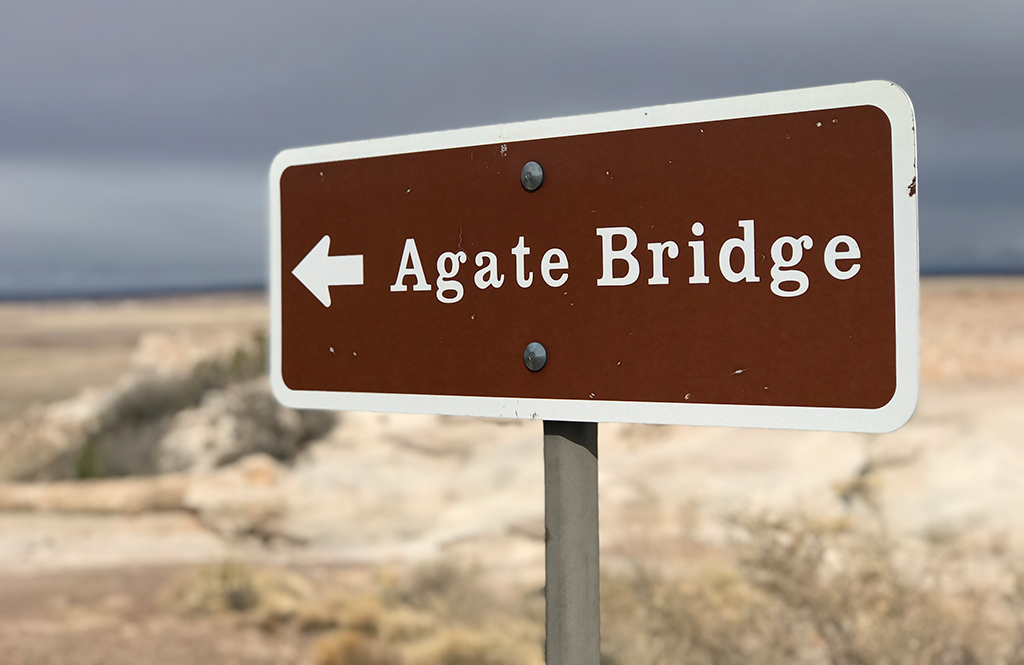 Agate Bridge: A 110 Foot Petrified Log Bridge at Petrified Forest ...