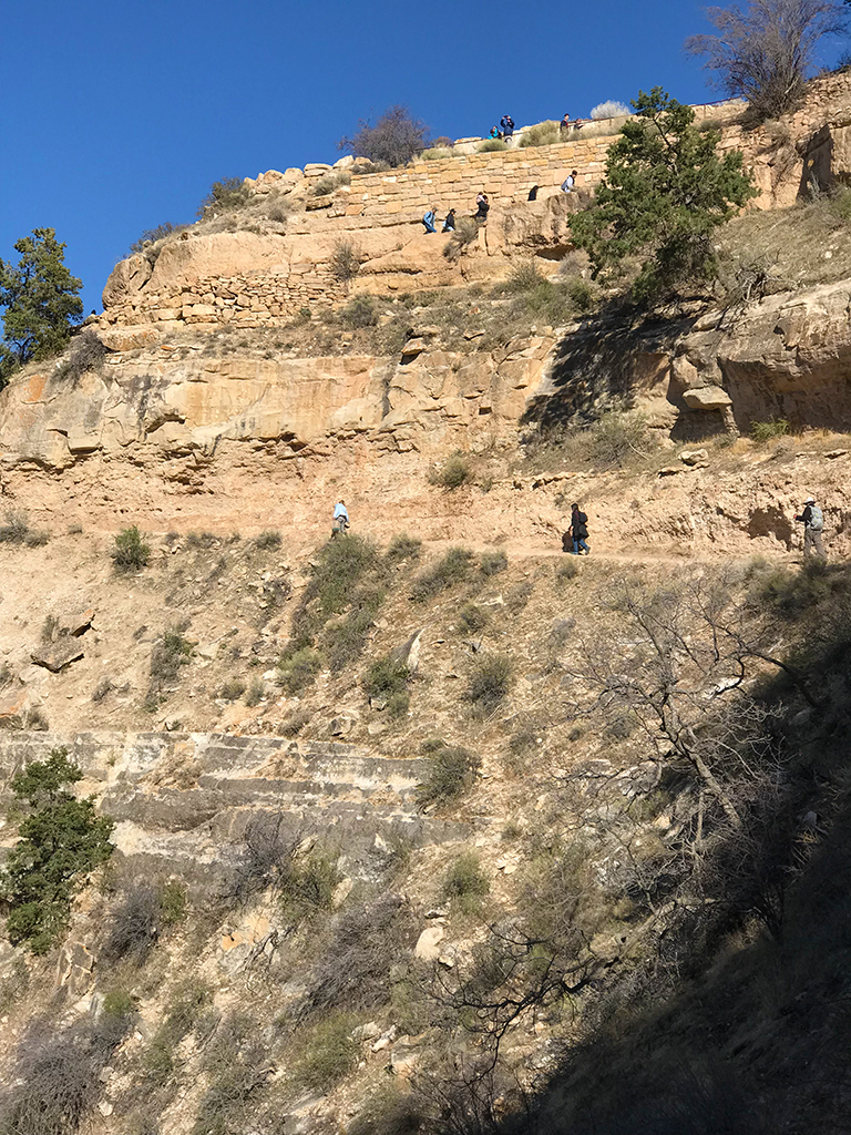 The Bright Angel Trail In Grand Canyon National Park