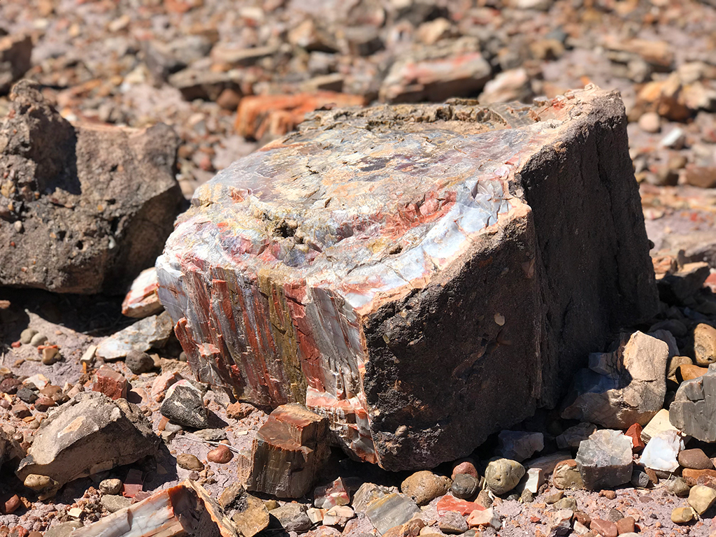 Blue Mesa Trail In The Painted Desert Of Petrified Forest National Park